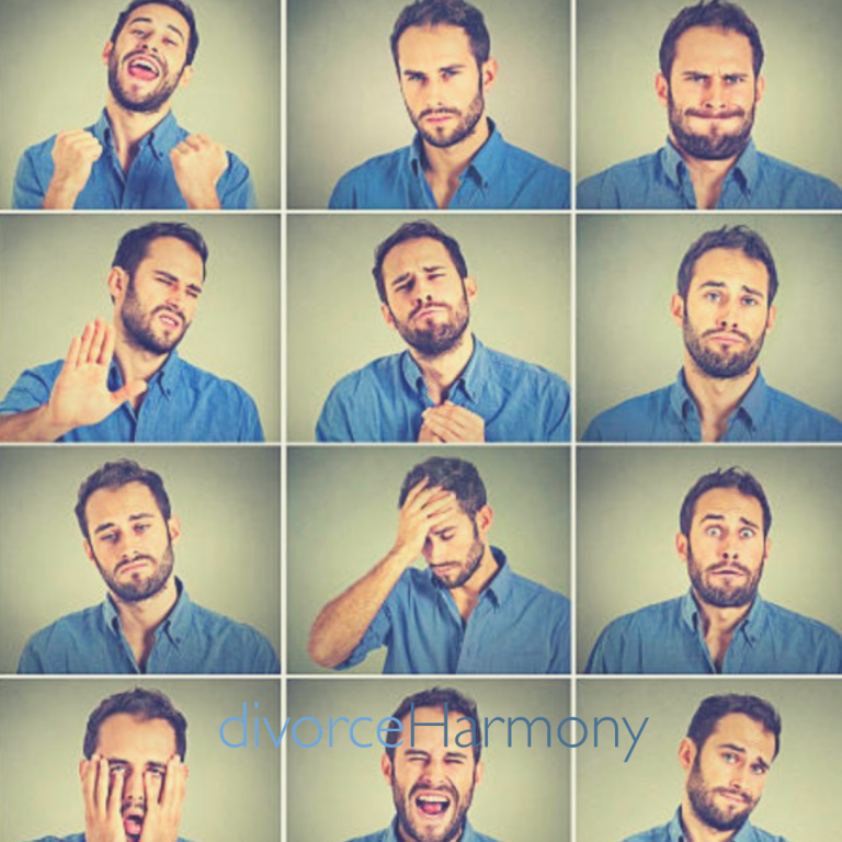 Body Language and how it Aids Mediation - Divorce Harmony